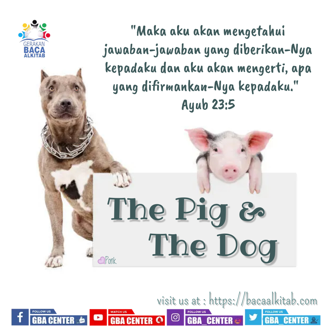 The Pig And The Dog | Ayub 23:5 (TB) - Gerakan Baca Alkitab